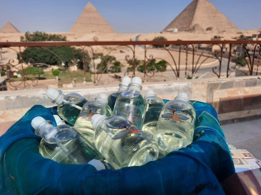 Sacred Egyptian Oils - Isis Temple Shop